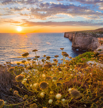 Migra Images – Browse 44 Stock Photos, Vectors, and Video | Adobe Stock