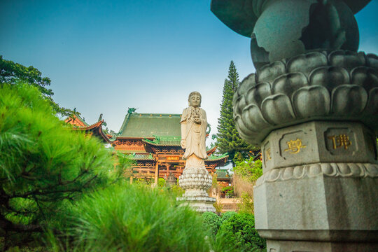 Leich Bilder – Durchsuchen 8,505 Archivfotos, Vektorgrafiken und Videos ...