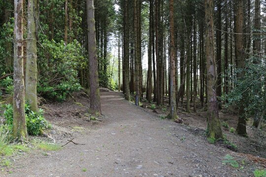 Imágenes de Toormakeady: descubre bancos de fotos, ilustraciones ...