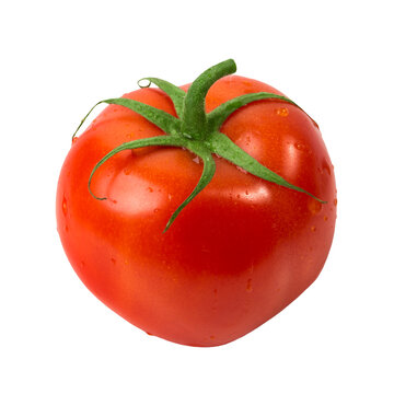 "Single Tomato" Images – Browse 217 Stock Photos, Vectors, and Video ...