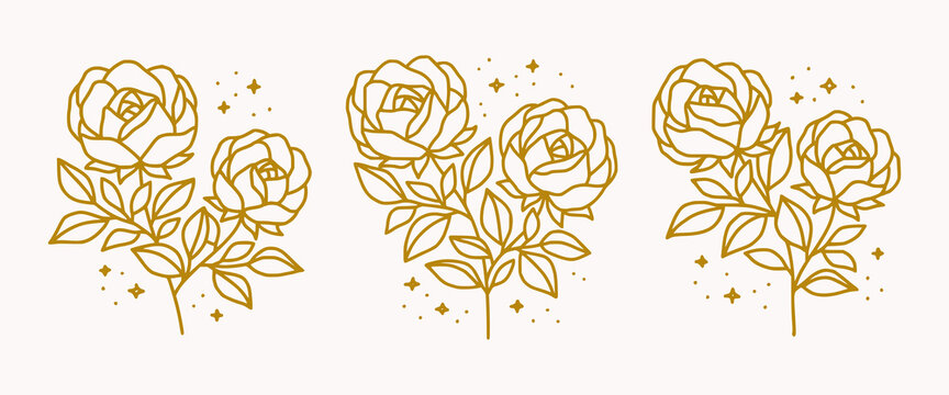 Rara photos, images, assets | Adobe Stock