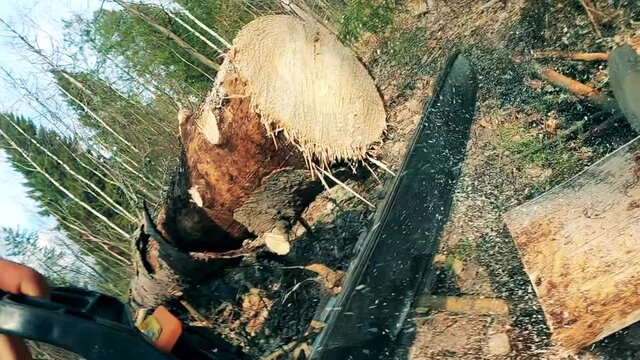 Buzzsaw Bilder – Durchsuchen 154 Archivfotos, Vektorgrafiken und Videos ...