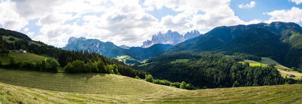 รูปภาพOdle – เลือกดูภาพถ่ายสต็อก เวกเตอร์ และวิดีโอ10,680 | Adobe Stock