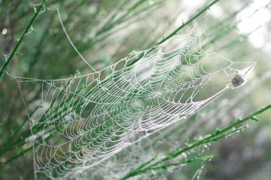 Weging Bilder – Durchsuchen 2,520 Archivfotos, Vektorgrafiken und ...