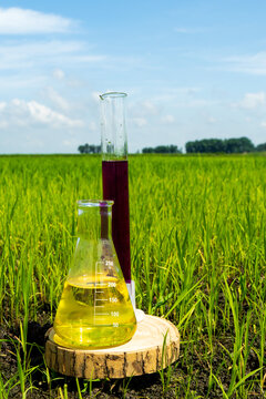 Agrochemistry Imagens – Procure 977 fotos, vetores e vídeos | Adobe Stock