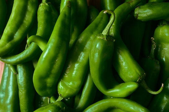 รูปภาพChilaca – เลือกดูภาพถ่ายสต็อก เวกเตอร์ และวิดีโอ502 | Adobe Stock