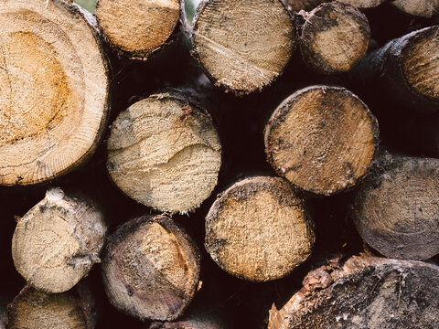 Aufgesetzt Images – Browse 251 Stock Photos, Vectors, and Video | Adobe ...