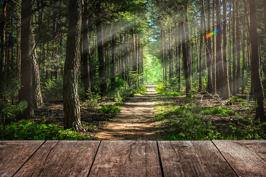 Tabletop Images – Browse 287,000 Stock Photos, Vectors, and Video ...