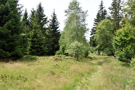 รูปภาพDollberg – เลือกดูภาพถ่ายสต็อก เวกเตอร์ และวิดีโอ165 | Adobe Stock