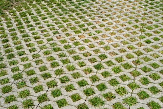 Rasengittersteine Images – Browse 65 Stock Photos, Vectors, and Video ...