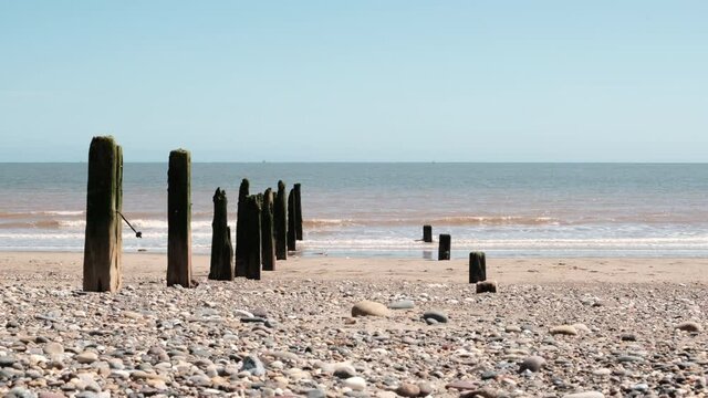 Spurn Images – Browse 691 Stock Photos, Vectors, and Video | Adobe Stock