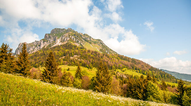 รูปภาพVelky – เลือกดูภาพถ่ายสต็อก เวกเตอร์ และวิดีโอ1,571 | Adobe Stock