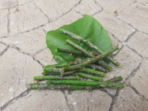 Giloy Images – Browse 157 Stock Photos, Vectors, and Video | Adobe Stock