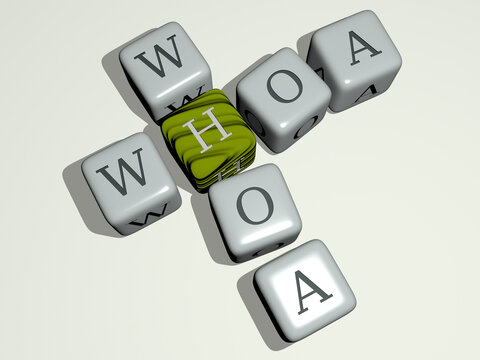 Whoa 이미지 – 찾아보기 222 스톡 사진, 벡터 및 비디오 | Adobe Stock