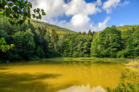 รูปภาพBoyana – เลือกดูภาพถ่ายสต็อก เวกเตอร์ และวิดีโอ389 | Adobe Stock