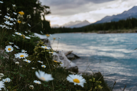 Afbeeldingen over "Canadian Landscape" – Blader in stockfoto's ...