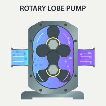 Rotary Lobe Pump Animation