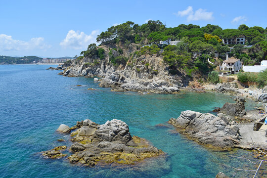รูปภาพLloret – เลือกดูภาพถ่ายสต็อก เวกเตอร์ และวิดีโอ8,267 | Adobe Stock