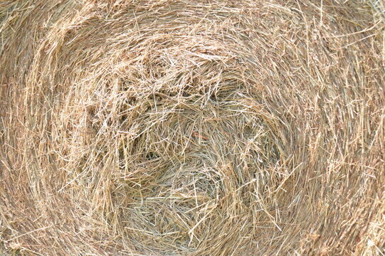 รูปภาพStroh – เลือกดูภาพถ่ายสต็อก เวกเตอร์ และวิดีโอ33,548 | Adobe Stock