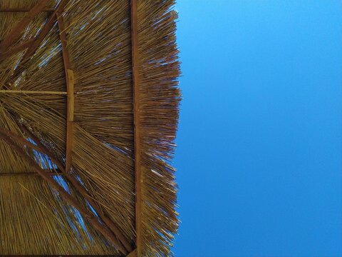 Bumboo Images – Browse 35 Stock Photos, Vectors, and Video | Adobe Stock