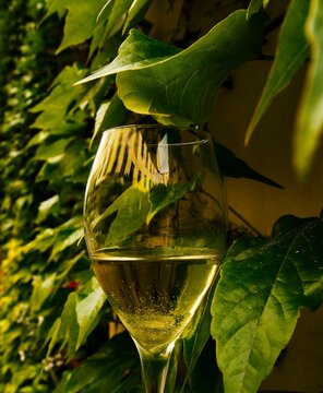 รูปภาพLikier – เลือกดูภาพถ่ายสต็อก เวกเตอร์ และวิดีโอ259 | Adobe Stock