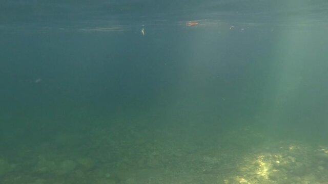 Montaria Images – Browse 533 Stock Photos, Vectors, and Video | Adobe Stock