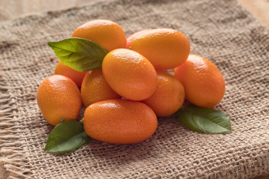 Nagami Bilder – Durchsuchen 770 Archivfotos, Vektorgrafiken und Videos ...