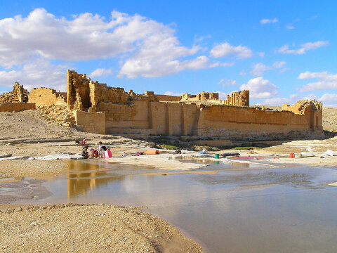 「Haidra」の画像 - 34 件の Stock 写真、ベクターおよびビデオ | Adobe Stock