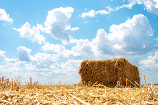 "Bale Of Hay" Images – Browse 1,113 Stock Photos, Vectors, and Video ...