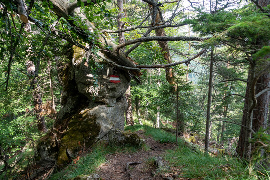 รูปภาพFelse – เลือกดูภาพถ่ายสต็อก เวกเตอร์ และวิดีโอ290 | Adobe Stock