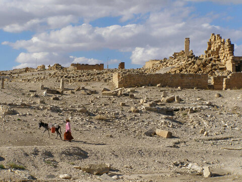 Haidra Images – Browse 34 Stock Photos, Vectors, and Video | Adobe Stock