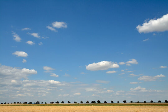 Ockerfarben bilder – Bläddra bland 298 stockfoton, vektorer och videor ...