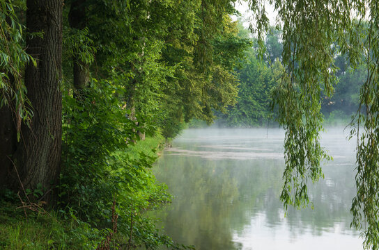 Ranek Billeder – Gennemse 4,820 stockfotos, vektorer og videoer | Adobe ...
