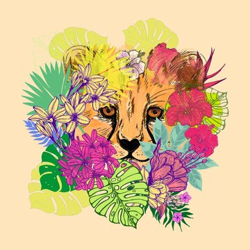 Wildcat Images – Browse 80,786 Stock Photos, Vectors, and Video | Adobe ...