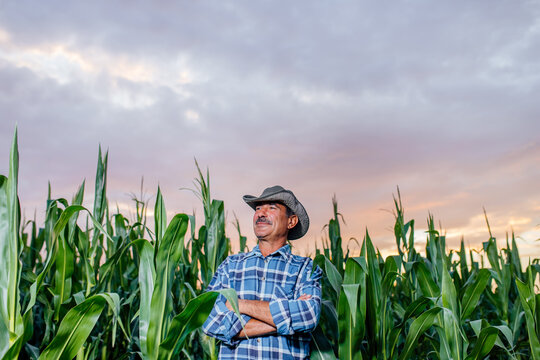 "Farmer In Field" Images – Browse 1,631 Stock Photos, Vectors, and ...