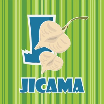 Jicama Vector Bilder – Durchsuchen 529 Archivfotos, Vektorgrafiken und ...
