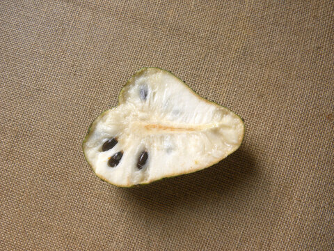 Ramphal 影像 – 瀏覽 78 個素材庫相片、向量圖和影片 | Adobe Stock