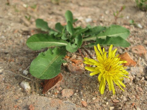 รูปภาพZah – เลือกดูภาพถ่ายสต็อก เวกเตอร์ และวิดีโอ1,083 | Adobe Stock