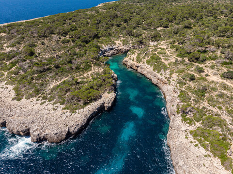 43 BEST Beltran IMAGES, STOCK PHOTOS & VECTORS | Adobe Stock