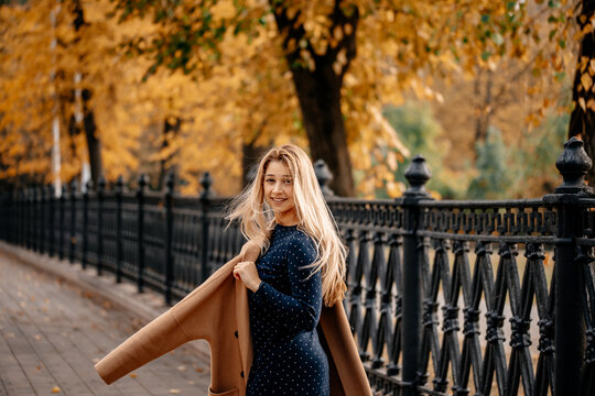 รูปภาพPolto – เลือกดูภาพถ่ายสต็อก เวกเตอร์ และวิดีโอ161 | Adobe Stock