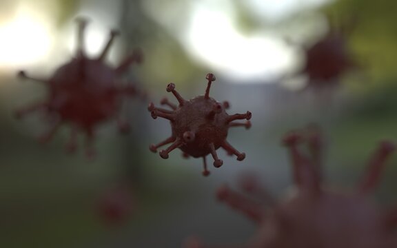 Lingering Images – Browse 2,465 Stock Photos, Vectors, and Video ...