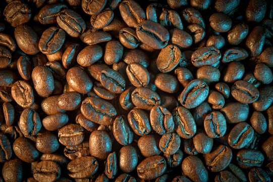 Jamoke bilder – Bläddra bland 4,550 stockfoton, vektorer och videor ...