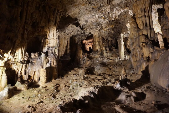 「Rudine」の写真素材 | 20件の無料イラスト画像 | Adobe Stock