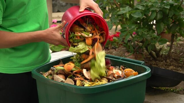 Separate Food Images – Browse 84,031 Stock Photos, Vectors, and Video ...