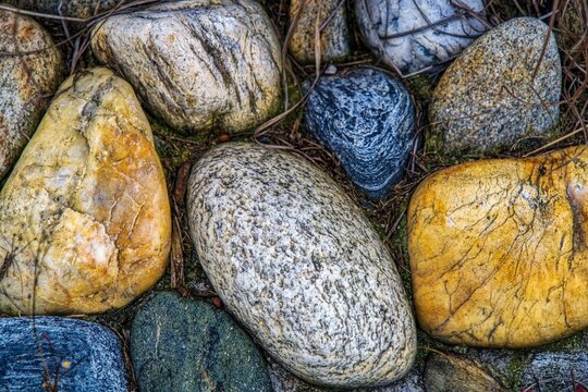 รูปภาพGarvel – เลือกดูภาพถ่ายสต็อก เวกเตอร์ และวิดีโอ85 | Adobe Stock