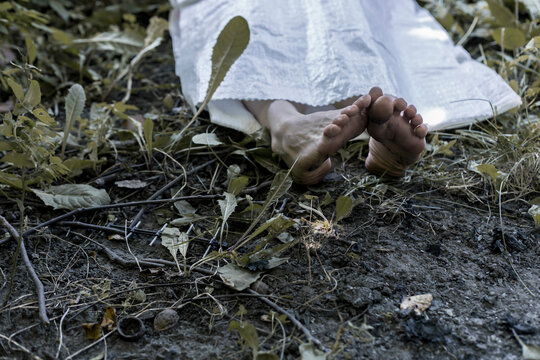 รูปภาพCorpse – เลือกดูภาพถ่ายสต็อก เวกเตอร์ และวิดีโอ1,021,931 | Adobe ...