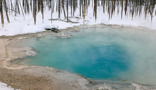 "Cistern Spring" 影像 – 瀏覽 34 個素材庫相片、向量圖和影片 | Adobe Stock