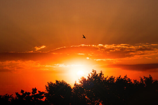 "Rising Of The Sun" Images – Browse 347 Stock Photos, Vectors, and ...