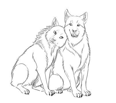 Two Wolves Together Drawing
