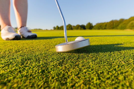 Putter-Bilder: Stock-Fotos & -Videos. | Adobe Stock